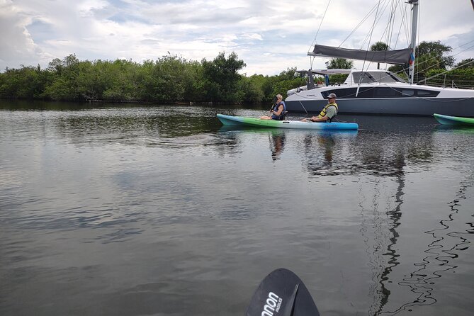 1-Hour Single Kayak Rental with Manatee & Dolphin sightings - What to Expect from Your Kayaking Experience in Cocoa Beach