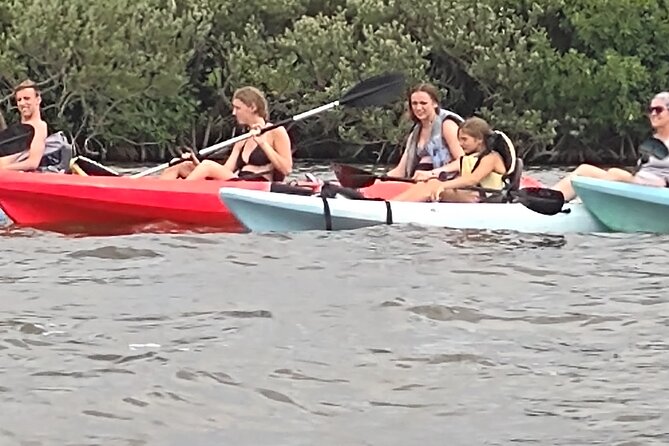 1-Hour Single Kayak Rental with Manatee & Dolphin sightings - Cost and Value: Is It Worth It?