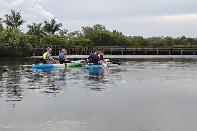 1-Hour Single Kayak Rental with Manatee & Dolphin sightings - Who Would Enjoy This Experience the Most?