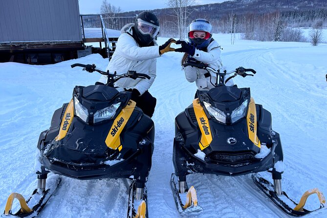 1 Hour Snowmobile Tour in Fairbanks Alaska - What the Reviews Reveal