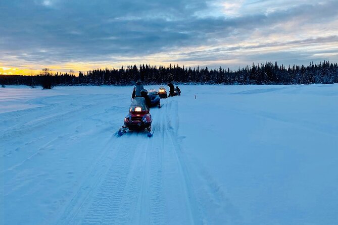 1 Hour Snowmobile Tour in Fairbanks Alaska - Practical Details: Pricing, Cancellation, and Booking