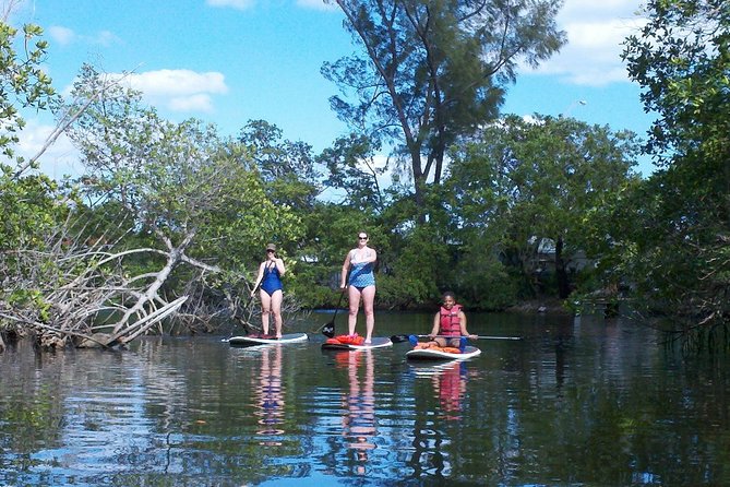 1 Hour Stand Up Paddle Board Lesson for Beginners with 1 on 1 Instructor Guide - The Equipment and Safety: What’s Included