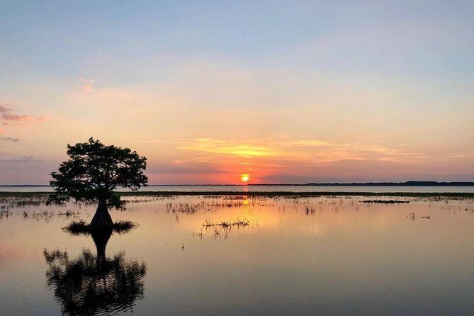 1-Hour Sunset Airboat Ride near Orlando - The Experience on the Water