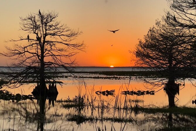 1-Hour Sunset Airboat Ride near Orlando - Practical Tips for the Best Experience