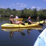 1-Hour Tandem Kayak Rental with Manatee & Dolphin sightings - Key Points