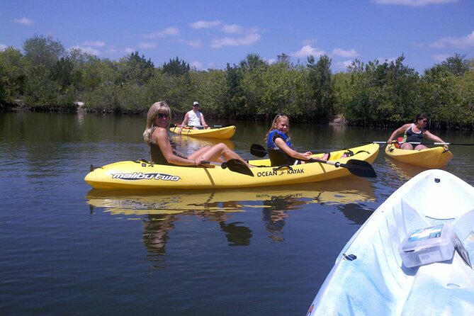 1-Hour Tandem Kayak Rental with Manatee & Dolphin sightings - Key Points