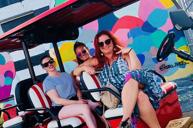 1 Hour WYNWOOD BUGGIES tour - The Details of the Wynwood Buggies Experience