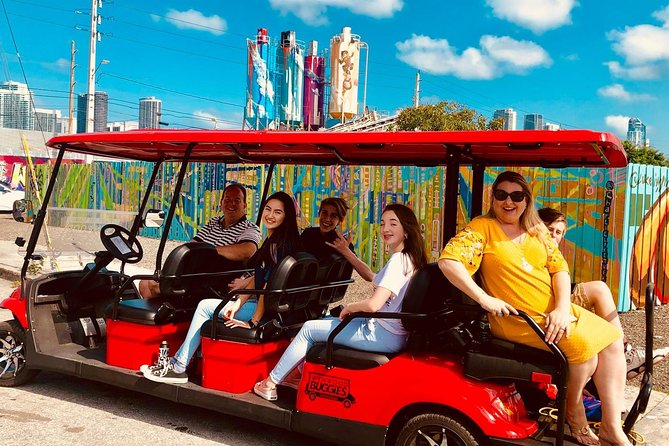 1 Hour WYNWOOD BUGGIES tour - Authentic Insights from Reviewers