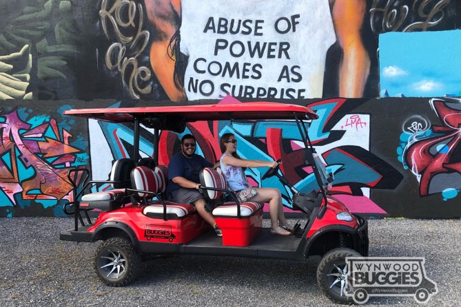 1 Hour WYNWOOD BUGGIES tour - Who Will Love This Tour?