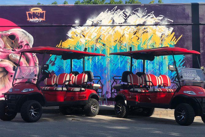 1 Hour WYNWOOD BUGGIES tour - The Sum Up
