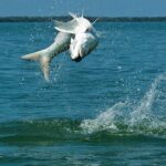 #1 Recommended Family Friendly Guided Fishing Charter Service - What Makes This Fishing Charter Stand Out