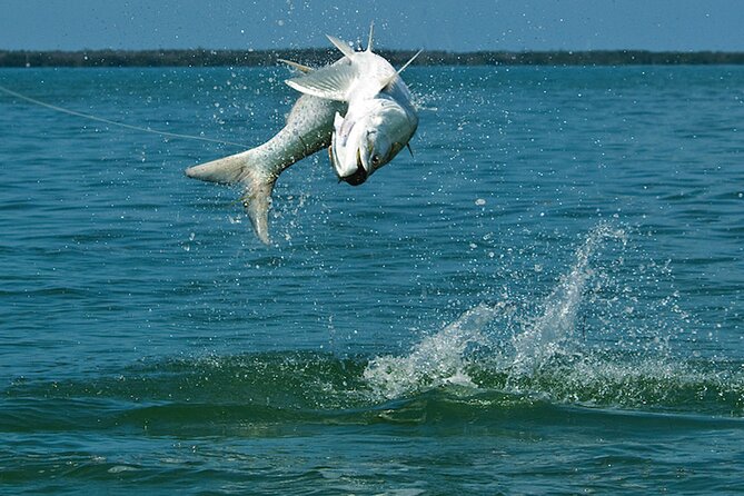 #1 Recommended Family Friendly Guided Fishing Charter Service - What Makes This Fishing Charter Stand Out