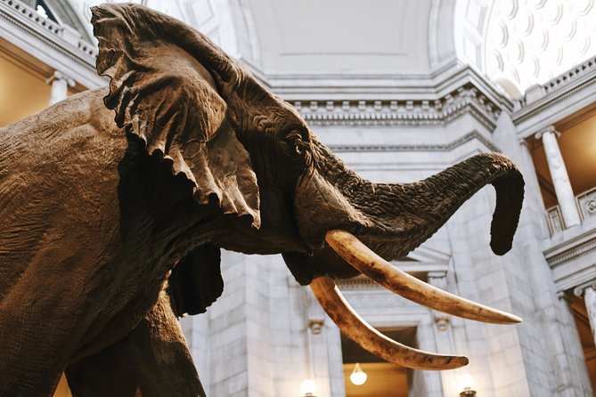 #1 Smithsonian Museum of Natural History | Satisfaction Guarantee - A Closer Look at the Experience