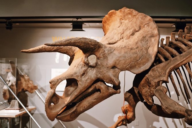 #1 Smithsonian Museum of Natural History | Satisfaction Guarantee - Practical Tips for Visitors