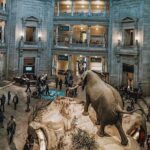 #1 Smithsonian Natural History + American History Museum Tour - Why This Tour Offers Great Value