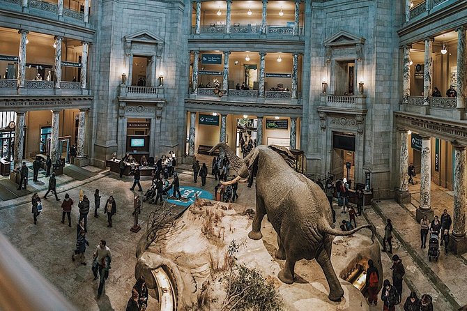 #1 Smithsonian Natural History + American History Museum Tour - Why This Tour Offers Great Value