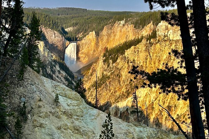 #1 Special Yellowstone Hot Spots Lower Loop From Cody Wy! - Why This Tour Offers Great Value