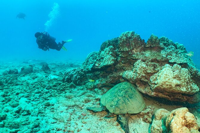 1 Tank Discover Scuba at Koloa Landing with No Experience needed - What to Expect from the 1 Tank Discover Scuba Tour