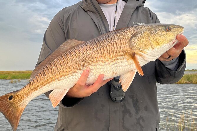 #1 Top Rated - Calm Water Inshore Fishing Charter In Your Area - Introduction: Why Consider a Sarasota Inshore Fishing Tour?