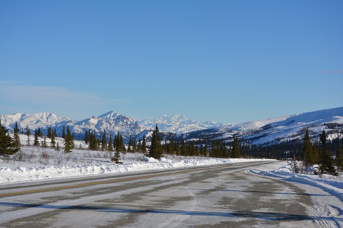 10 Hours Denali Winter Drive in Alaska - Who Will Love This Tour?