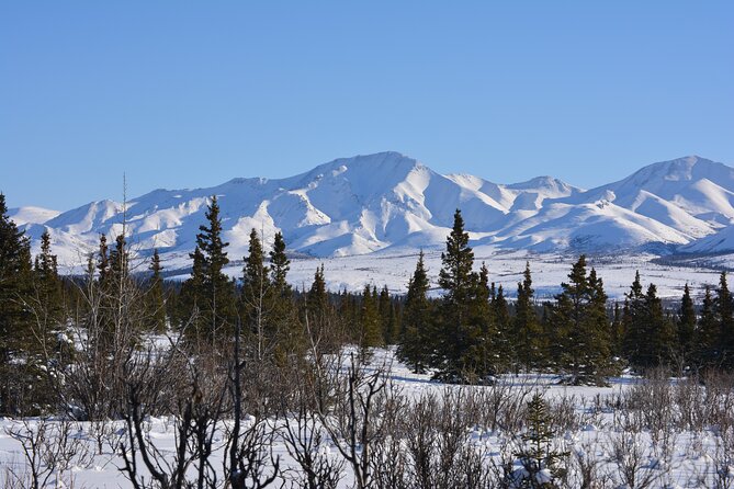 10 Hours Denali Winter Drive in Alaska - FAQ