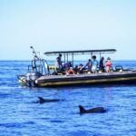 10 Passenger Max Customizable Private Charter - Key Points