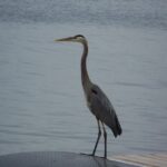 1000 Islands Sunset Cruise from Clayton, NY - The Experience: What Travelers Say