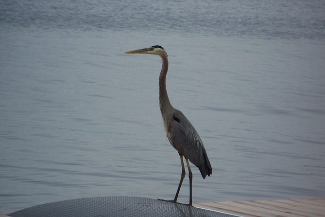 1000 Islands Sunset Cruise from Clayton, NY - The Experience: What Travelers Say