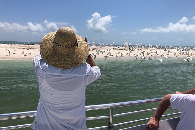 10,000 Islands Boat Excursion - 3.5-Hour Dolphins & Shelling Tour - Who Should Consider This Tour?