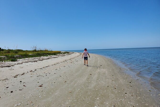 10,000 Islands Boat Tour + Naturalist Led Walk in the Everglades! - Detailed Review of the Tour Experience