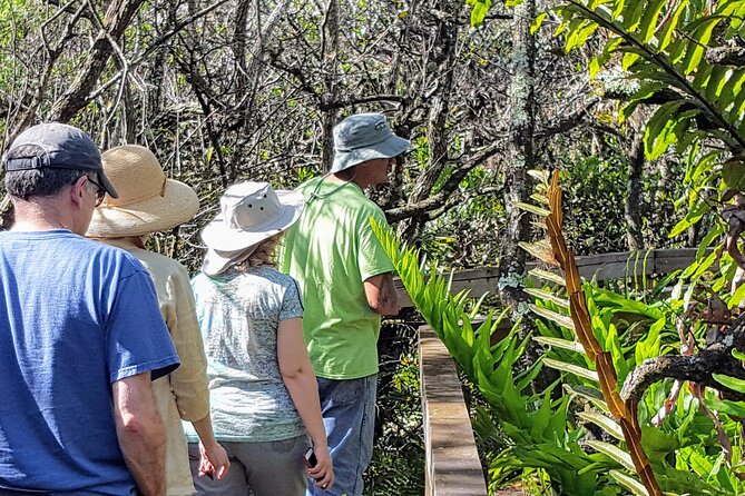 10,000 Islands Boat Tour + Naturalist Led Walk in the Everglades! - The Value of the Experience