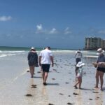 10,000 Islands Excursion Small-Group 3.5 hour Dolphin & Shelling Boat Tour - How the Experience Feels in Practice