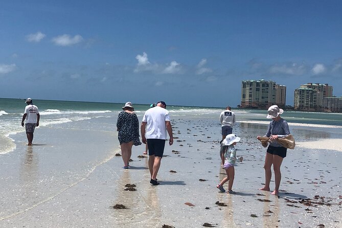 10,000 Islands Excursion Small-Group 3.5 hour Dolphin & Shelling Boat Tour - How the Experience Feels in Practice
