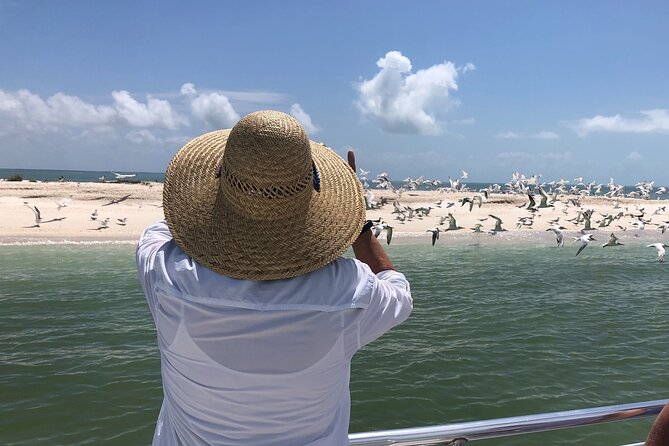 10,000 Islands Excursion Small-Group 3.5 hour Dolphin & Shelling Boat Tour - Is This Tour Worth It?