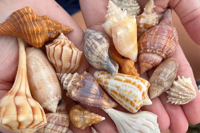 10,000 Islands Shelling Trip Marco Island FL - FAQ