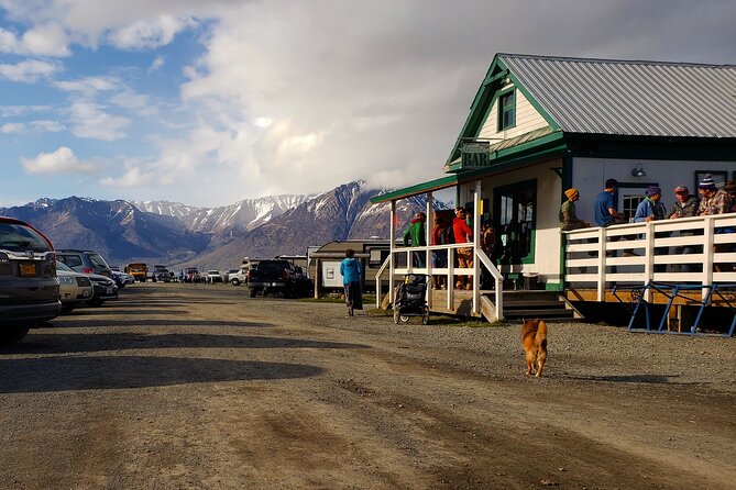 11 Day Grand Alaska Highlights Tour - The Sum Up