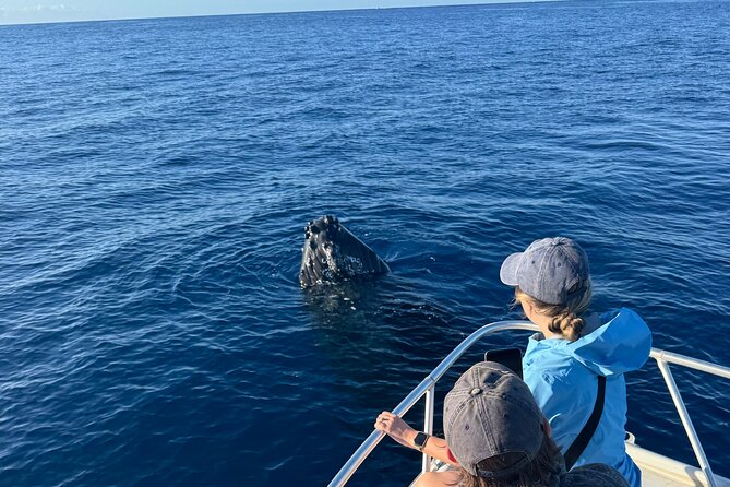 12 Passenger Kaanapali Beach Whale Watch tour. Onboard Whale Mic - Key Points