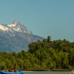 13-Mile Snake River Scenic Rafting Experience from Jackson - The Scenic Route: What You’ll See