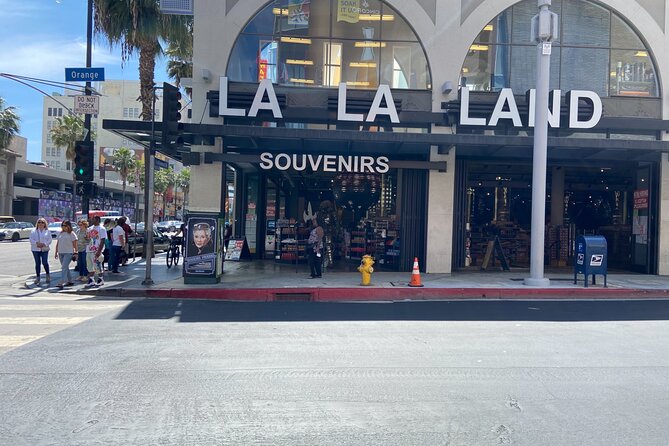 14-Seater Private Tour of LA - Who Will Love This Tour?