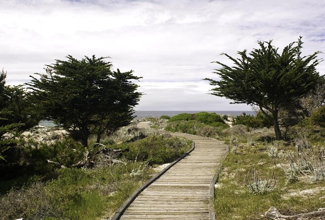 17-Mile Drive Self-Guided Audio Tour from Monterey & Carmel - An Honest Look at the 17-Mile Drive Self-Guided Audio Tour
