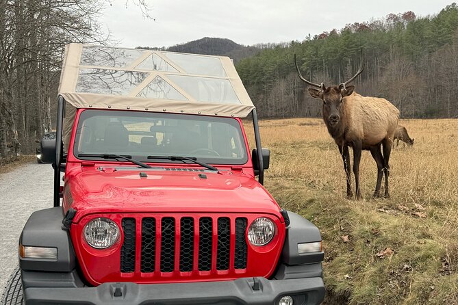 2.5-3 hour Smoky Mountain Cherokee Blue Ridge Parkway Safari tour - FAQs