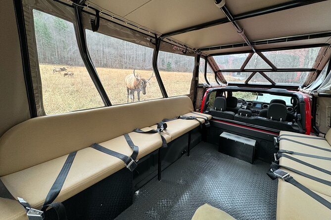 2.5-3 hour Smoky Mountain Cherokee Blue Ridge Parkway Safari tour - Final Thoughts