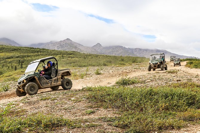 2.5-Hour Denali Wilderness ATV Adventure Tour - Arriving at Denali ATV Adventures