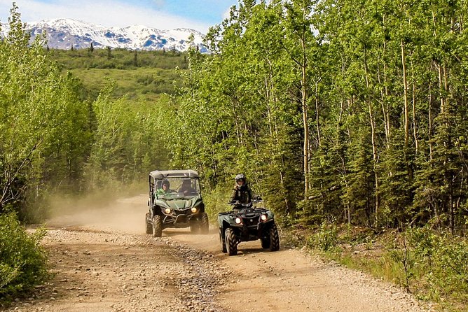2.5-Hour Denali Wilderness ATV Adventure Tour - Practicalities and Value