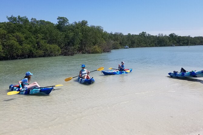 2.5-Hour Guided Group Kayak Tour on Big Hickory Pass - Final Thoughts: Is This Tour for You?