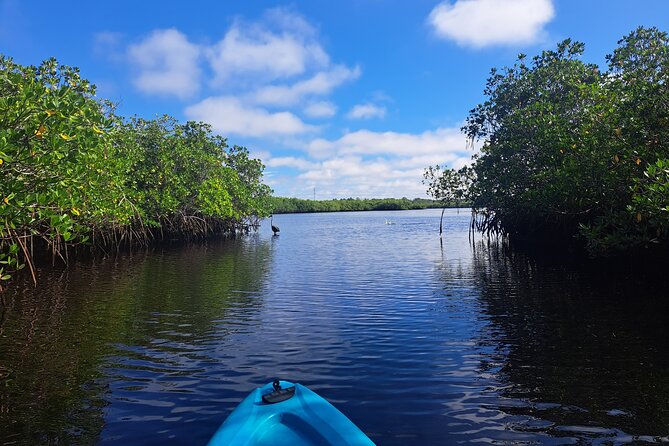 2.5 Hour Kayaking with Manatee and History Tour in Tarpon Springs - Key Points