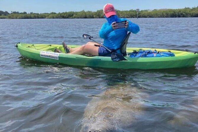 2.5 Hour Kayaking with Manatee and History Tour in Tarpon Springs - The Sum Up