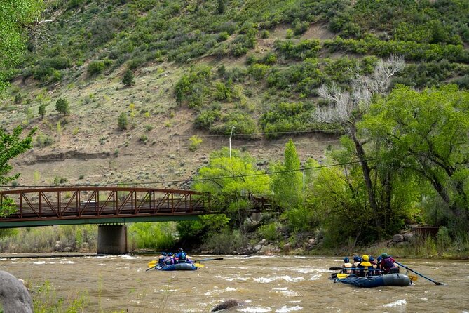 2.5 Hour "Splash "N" Dash" Family Rafting in Durango with Guide - Who Should Consider This Trip?