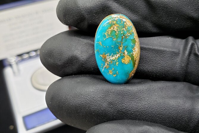 2.5 Hour Turquoise Collecting Tour - The Sum Up