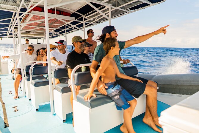 2.5-Hour Whale Watching On A 41' Super-Raft - Who Is This Tour Best For?